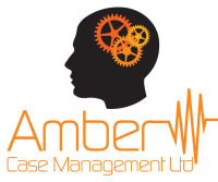 Amber Case Management - Home